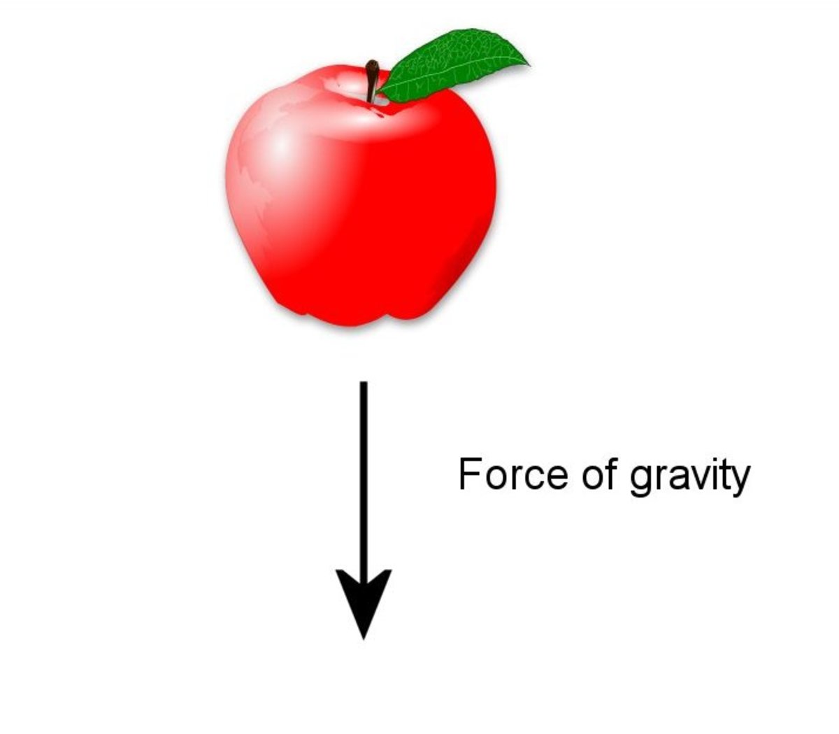 Free Falling Objects