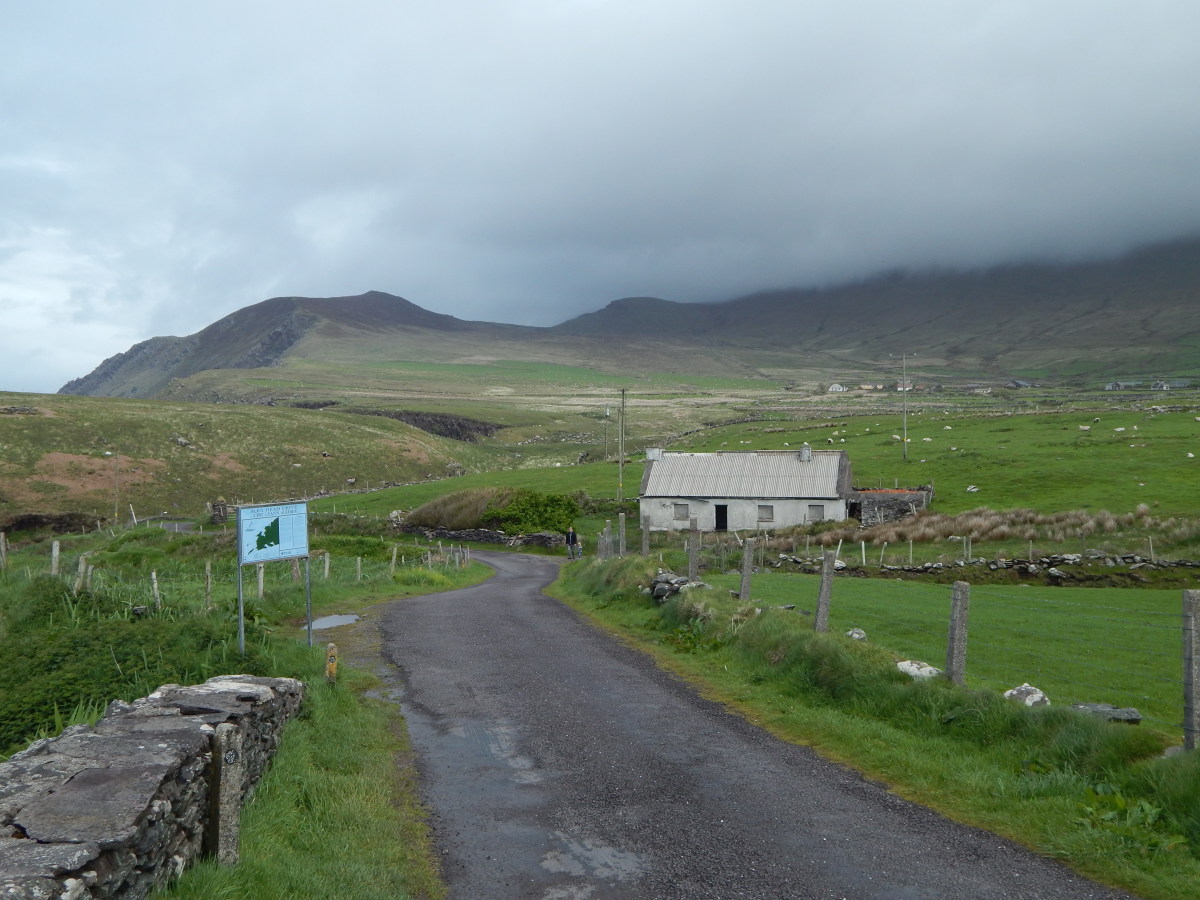 The Irish Timpan: Predecessor to the Harp? - HubPages