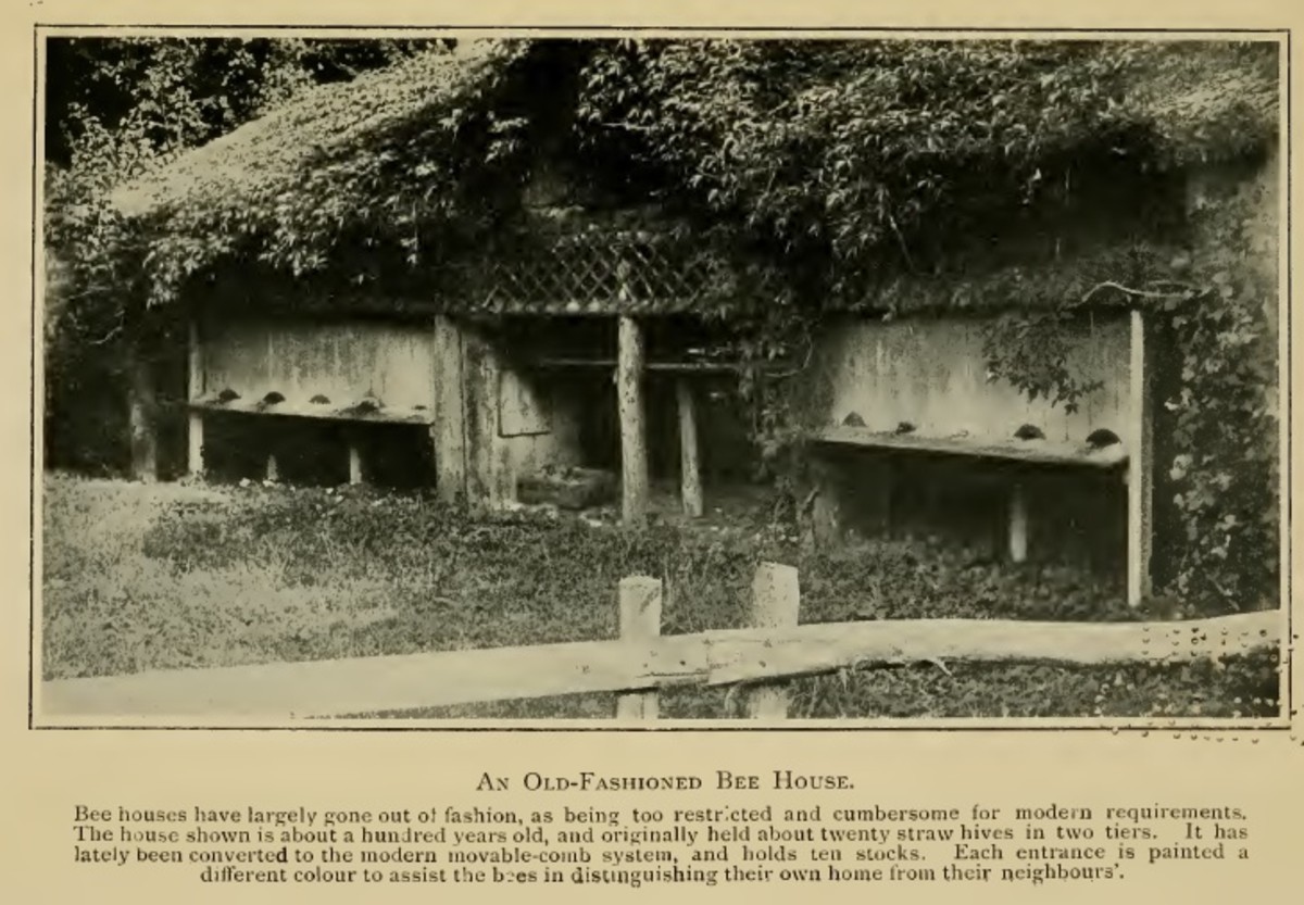 The Lore and History of Mead in Germanic Cultures - Owlcation