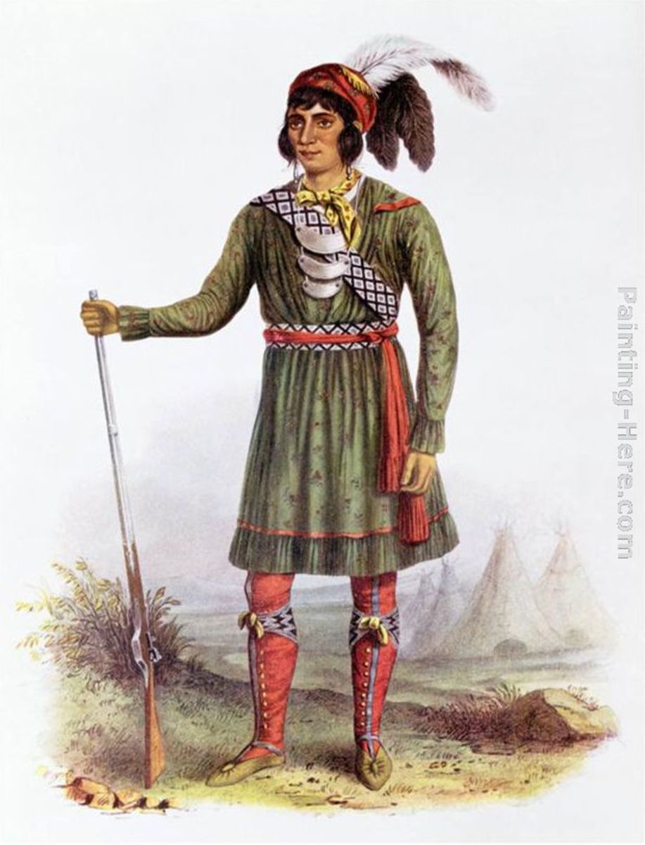 The Seminole Wars - HubPages