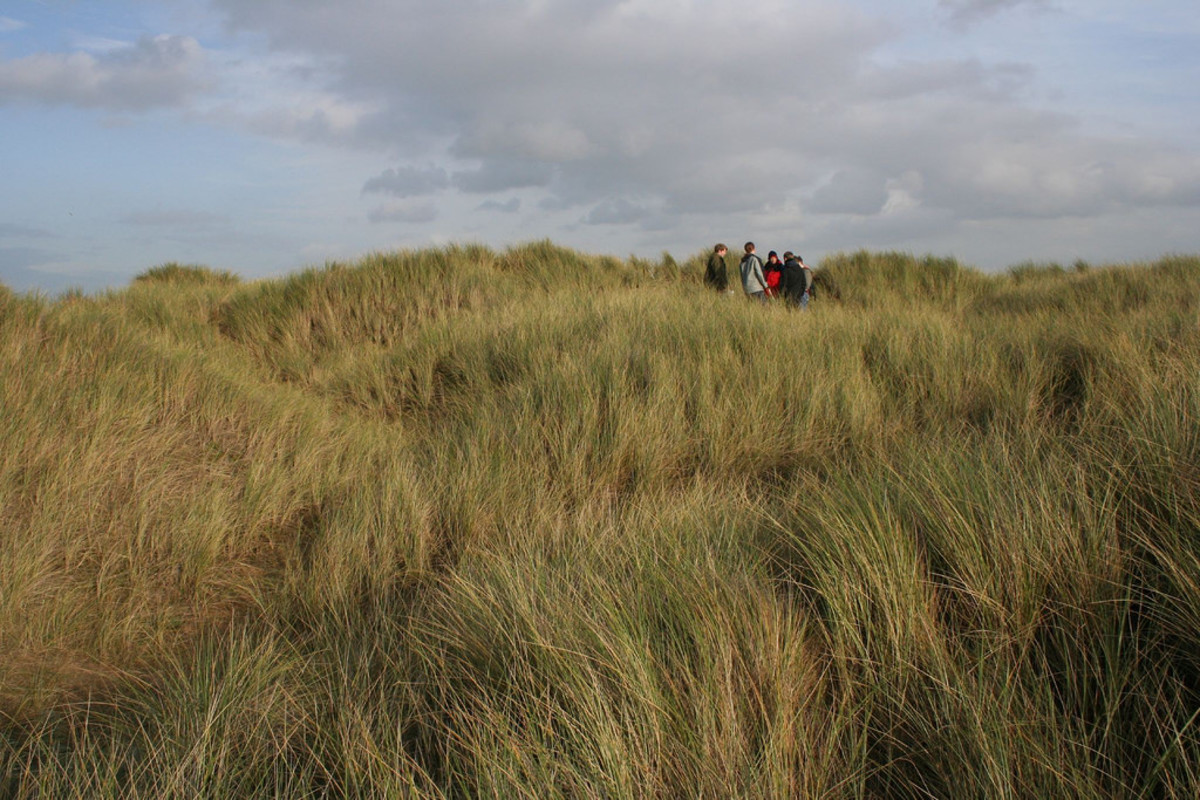 Introduction to Natural Ecosystems - HubPages