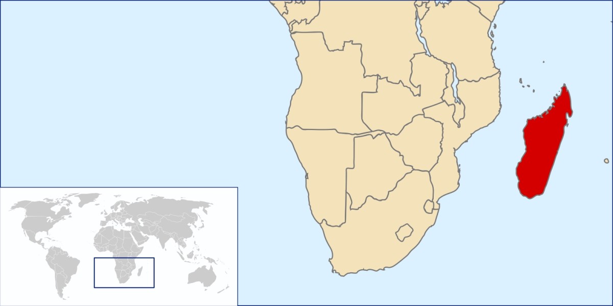 Fossa Facts: A Predator and Mongoose Relative in Madagascar - Owlcation