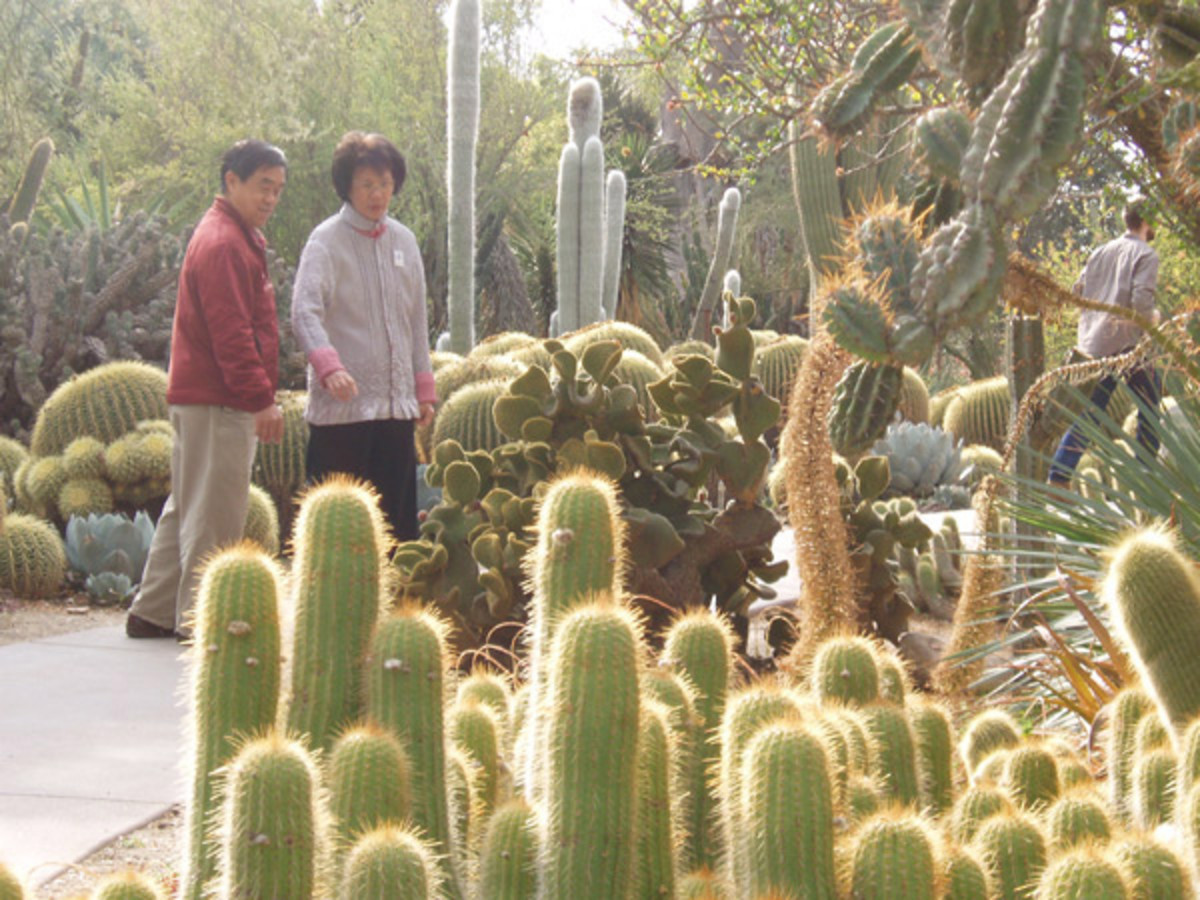 Why Nature Is Important to Human Physical and Economic Well-Being ...