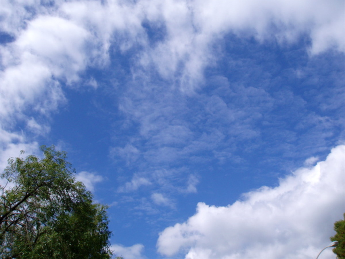 How the Earth's Water Cycle Works - Owlcation