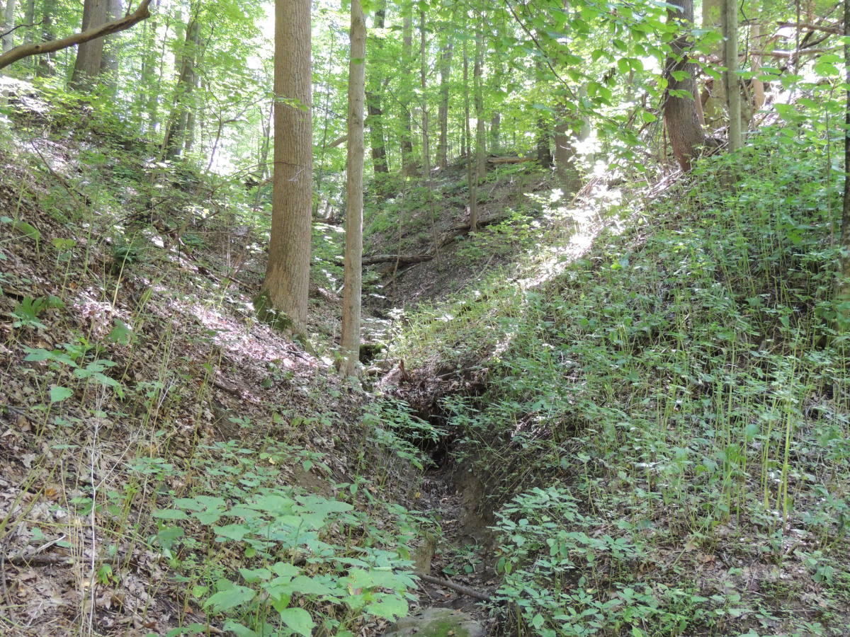 William Cullen Bryant and Two of His Poems: "To a Waterfowl" and ...