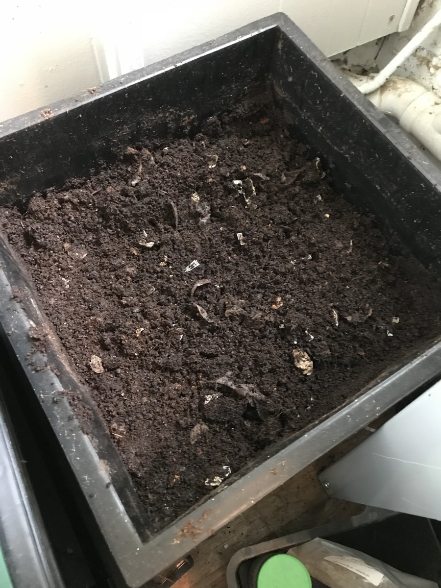 How to Set Up the Worm Factory 360 Worm Composting Bin - HubPages