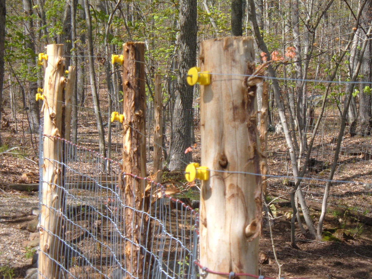 How We Built Our Pet Pygmy Goats Pen - HubPages