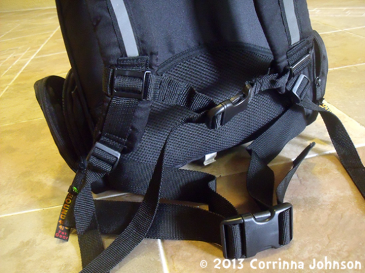 10 Reasons Why I Love the Outward Hound Backpack Pet Carrier - PetHelpful
