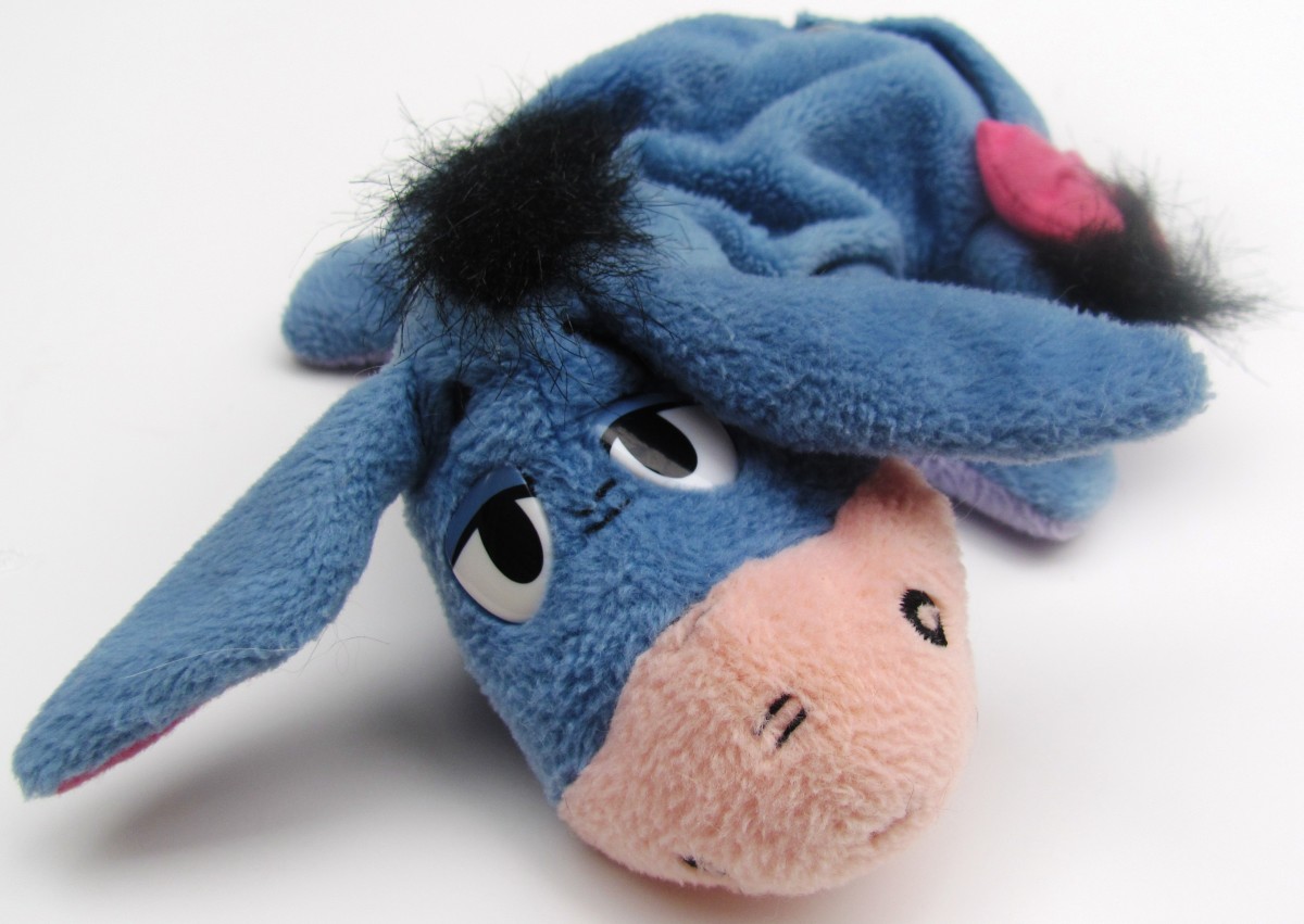 What Donkeys Can Teach Us About Being Human - HubPages