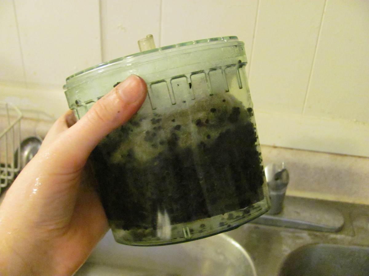 What Happened to the Box/Corner Filter for Fish Tanks? - PetHelpful