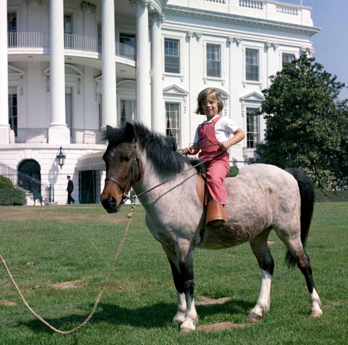A History of White House Pets (1945-1977) - HubPages