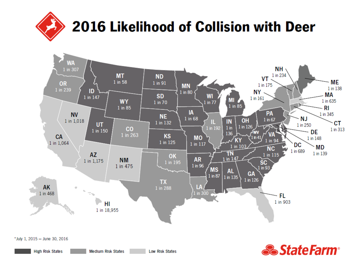 8 Tips to Avoid Deer-Car Collisions—Most Occur in Winter and at Night ...