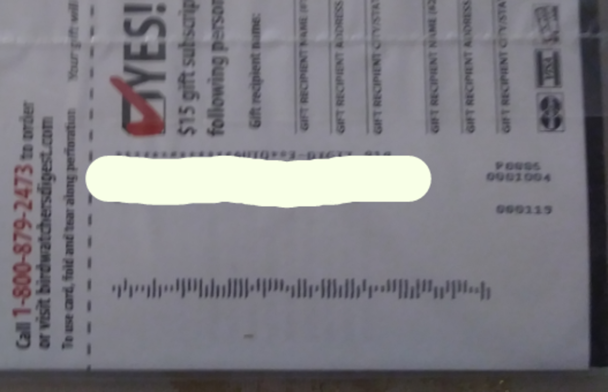 Postal MDD Scanner Tips and Tricks for the New and Frightened City ...