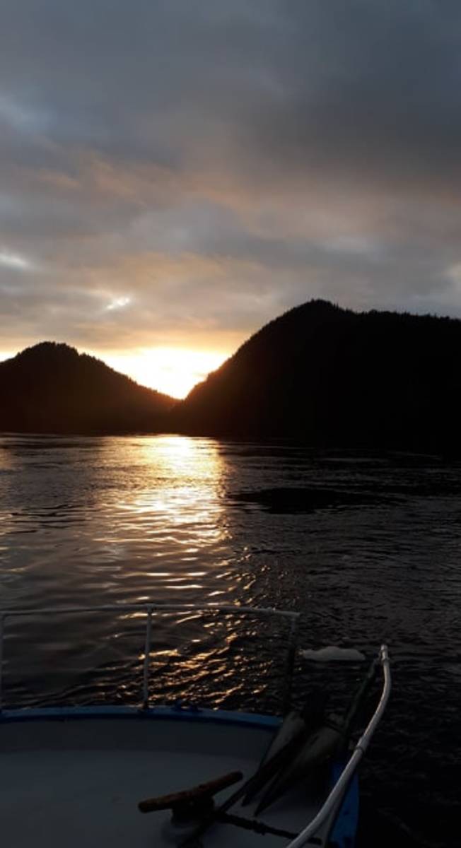 My Life as a Remote Logging Camp Cook - HubPages