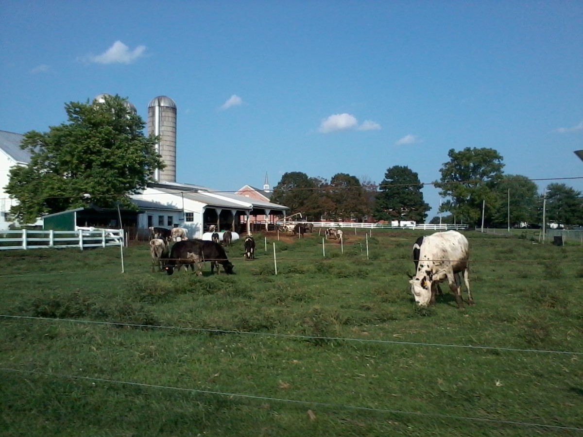 Tips for Buying a Small Farm - HubPages