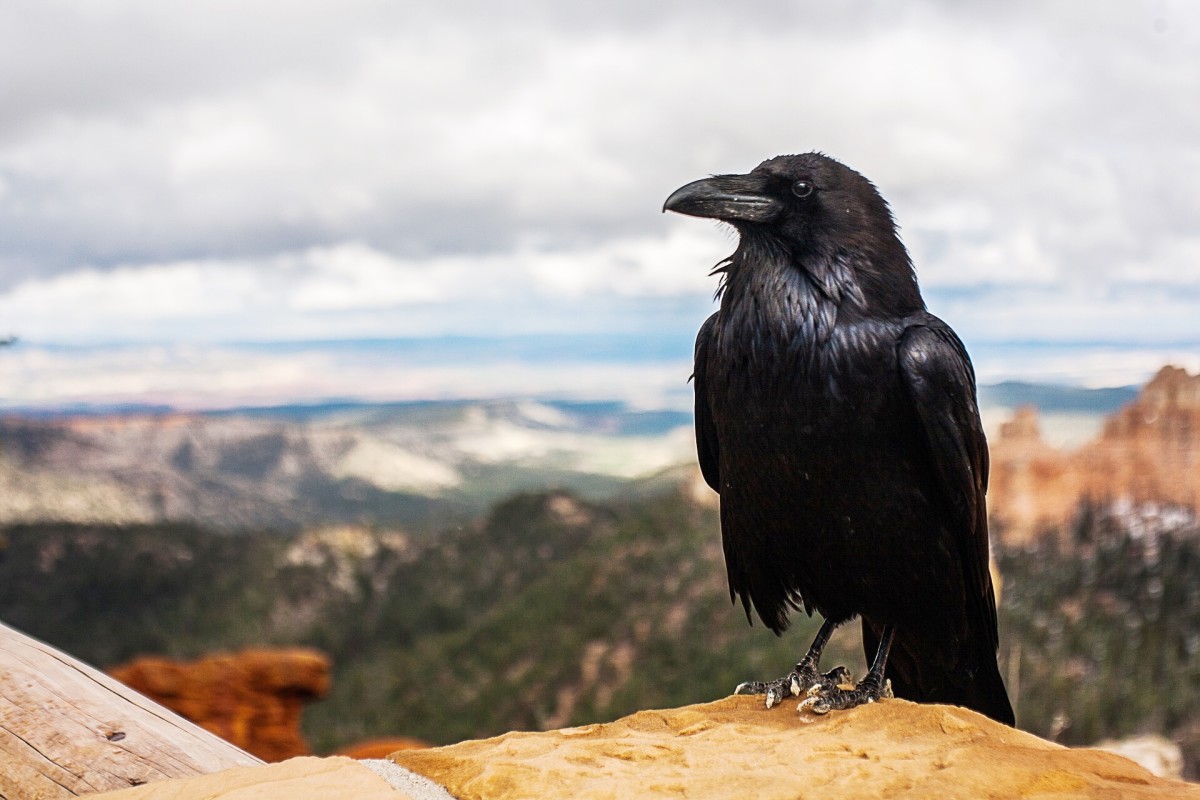 6 Samhain Songs for Your Halloween Harvest Festival Playlist - HubPages