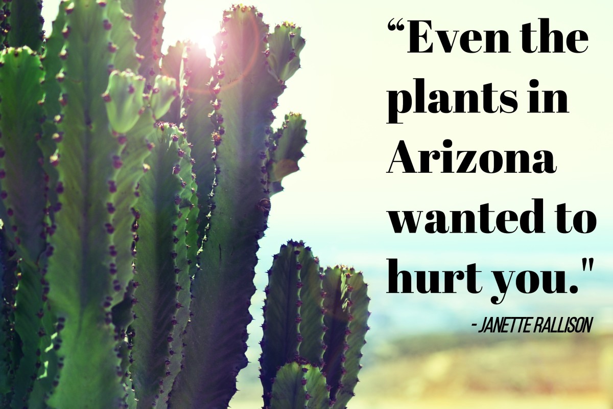 52 Songs About Arizona - HubPages