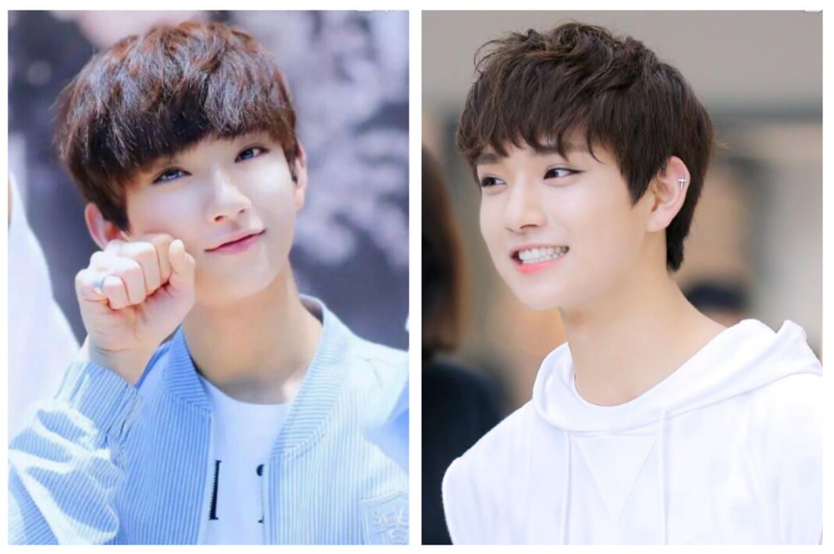 Cute Idols Telegraph Cute Idols Telegraph