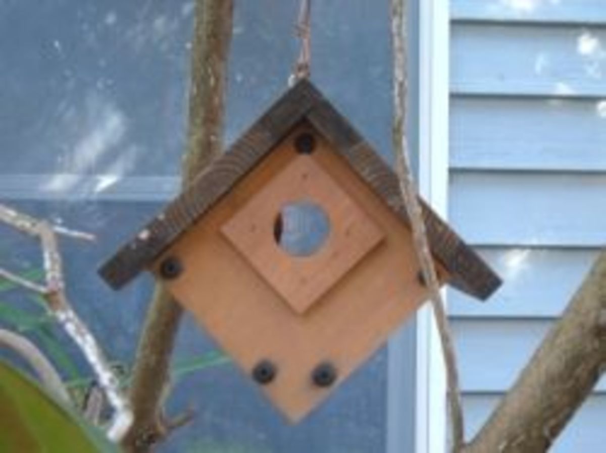 Birdhouse Ideas: Three DIY Birdhouse Plans - HubPages