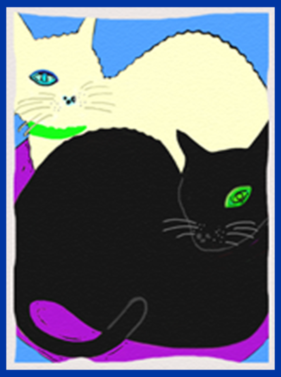 How to Brighten and Enhance Photos in Adobe Photoshop and MS Office ...