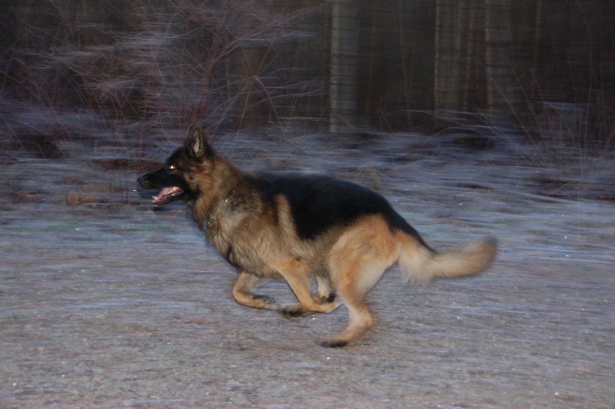 How to Capture Movement in Photos With a Slow Shutter Speed - HubPages