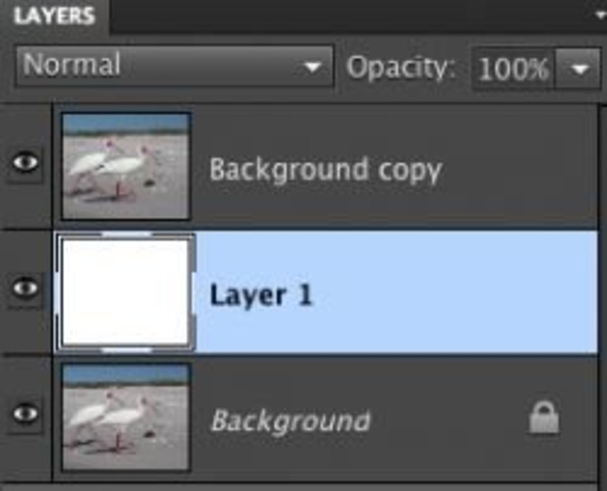 Page Curl Effect in Photoshop Elements - HubPages