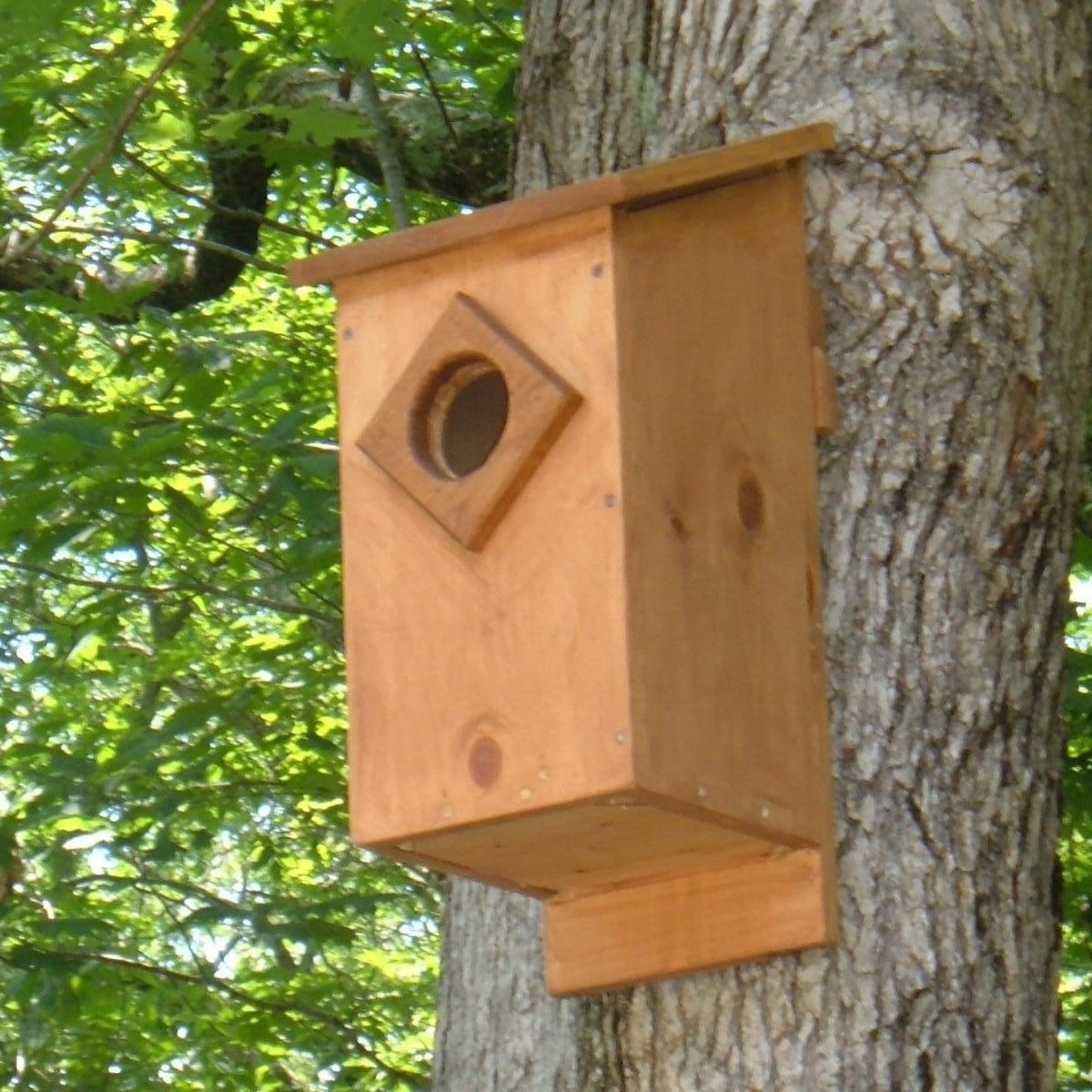 16 Ideas for Birdhouses, Feeders, and Nesting Box Plans and Designs ...