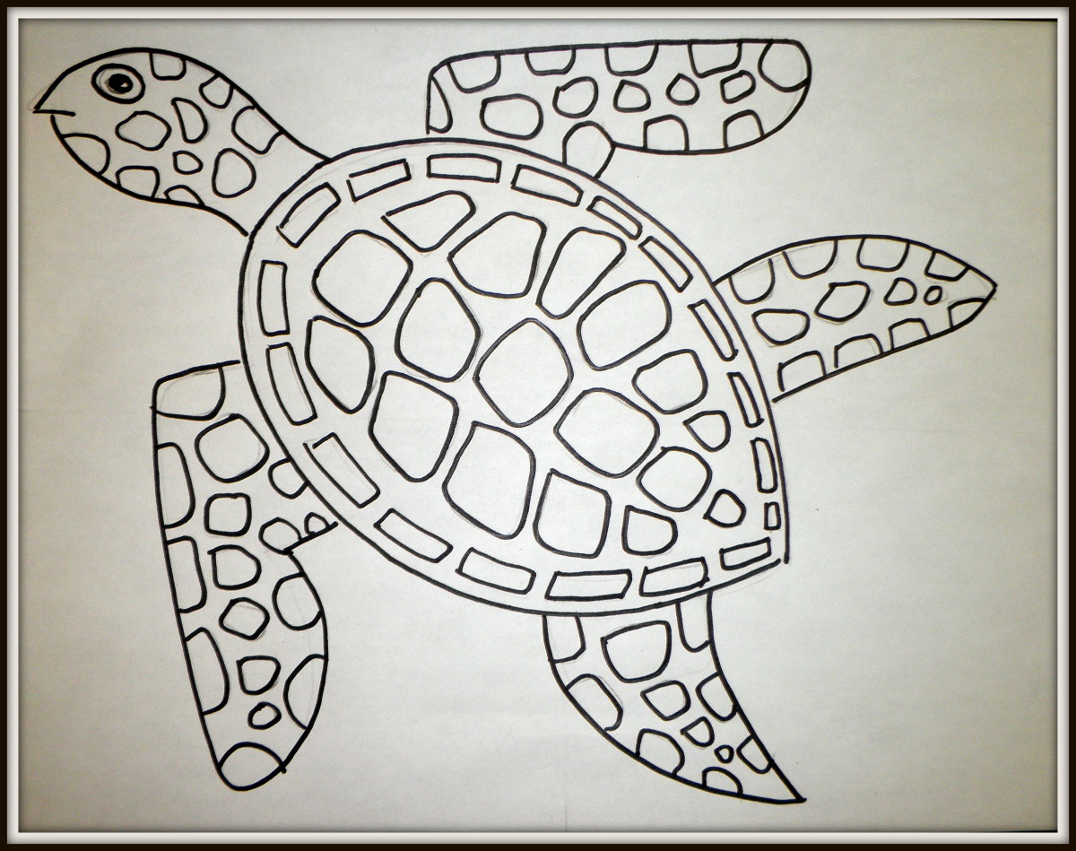 How To Draw A Turtle Step By Step