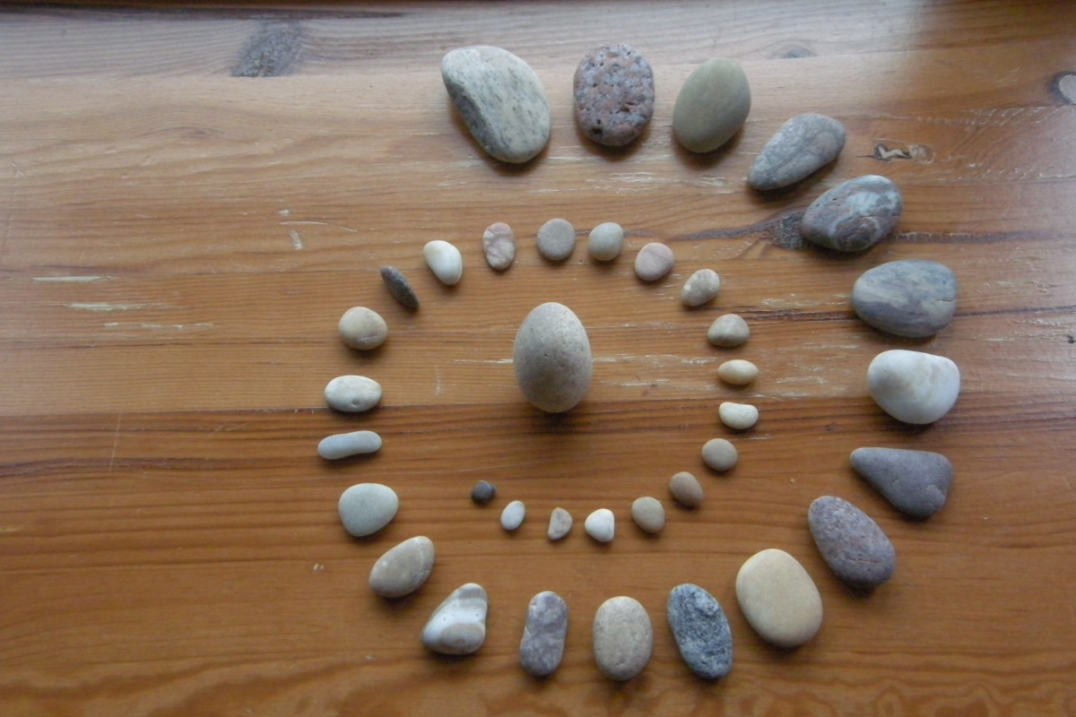 Beads From Nature (Natural Sources of Beads for Jewellery Making ...