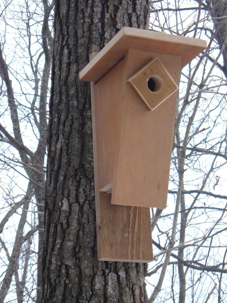 How to Choose the Right Birdhouse to Attract Birds to Your Yard - HubPages