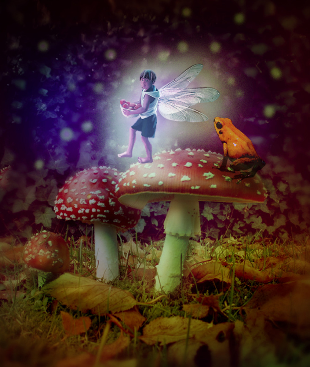 14 Examples of Fine Art Photography - HubPages