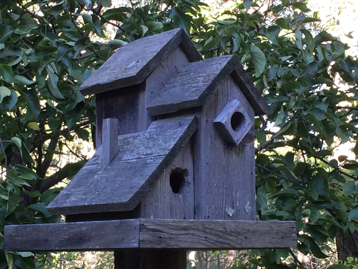 How to Build a Duplex Condo Birdhouse - HubPages