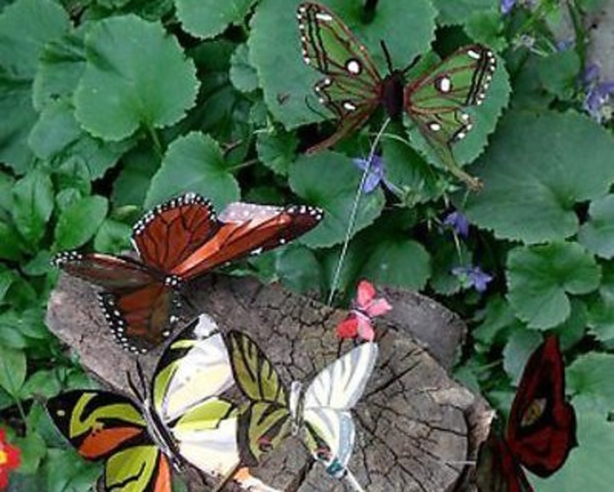 55 Beautiful Butterfly Craft Ideas - HubPages