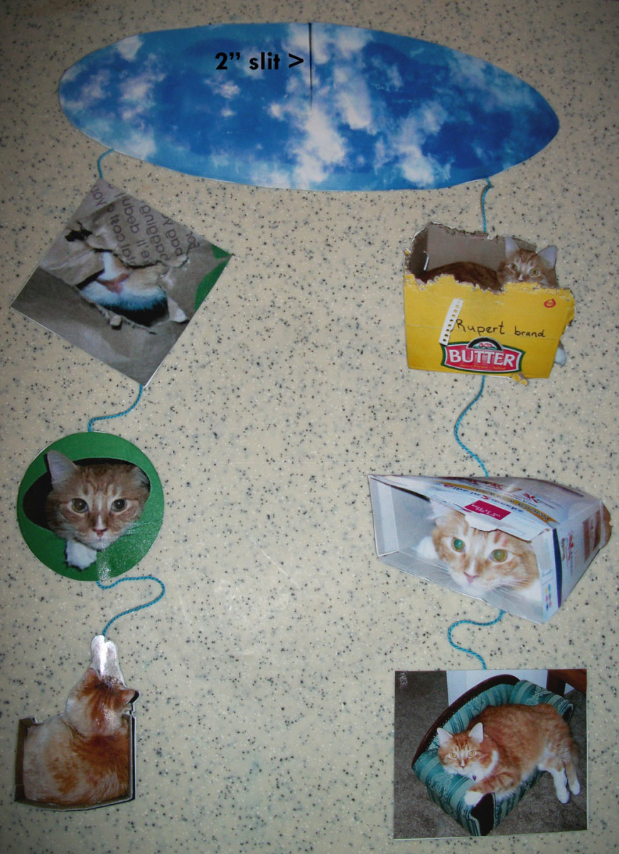 How to Make a Mobile With Your Favorite Photos - HubPages