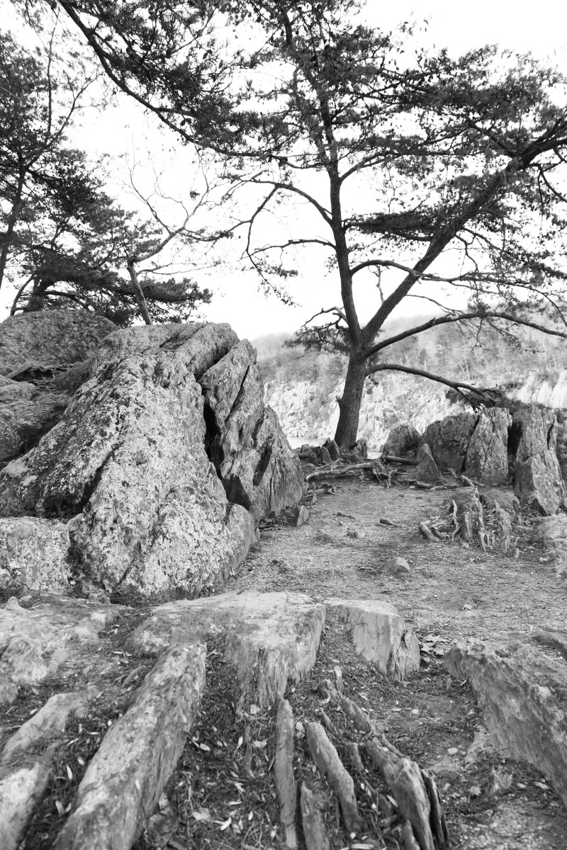 Five Ways to Start Photographing Nature With Any Camera - HubPages