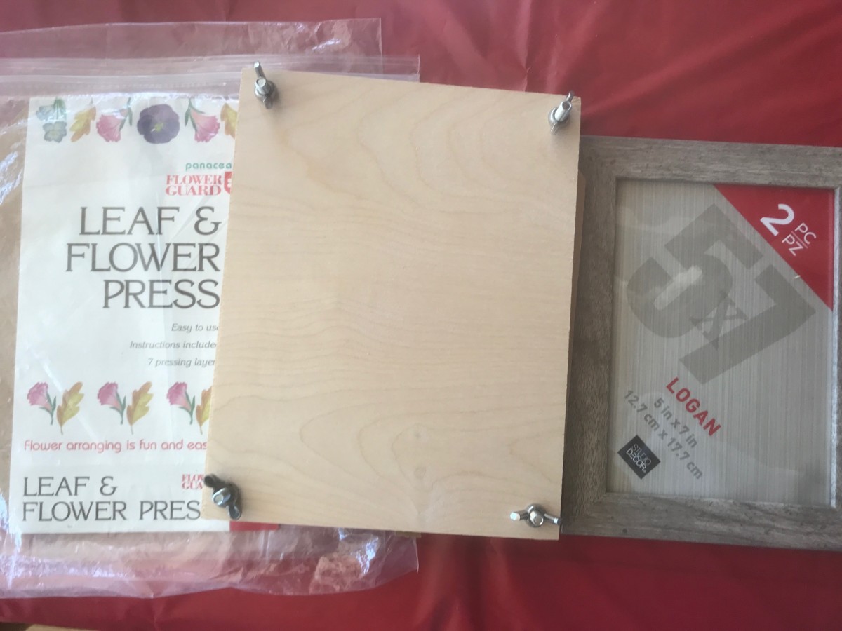 How to Press and Frame Flowers - HubPages