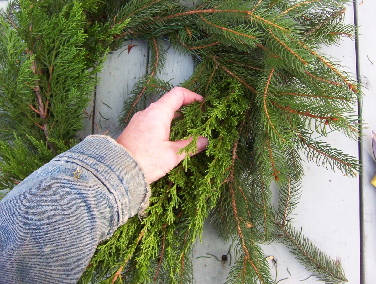 How to Make an Evergreen Christmas Wreath - HubPages