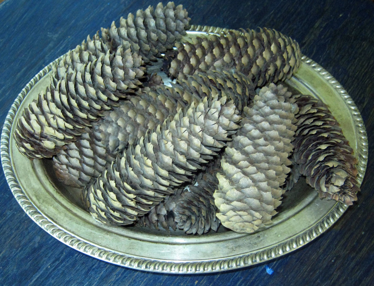 Natural Christmas Decorating Ideas for the Home - HubPages