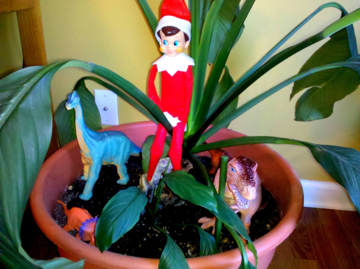 Funny and Creative Ideas for Hiding Your Elf on the Shelf - HubPages