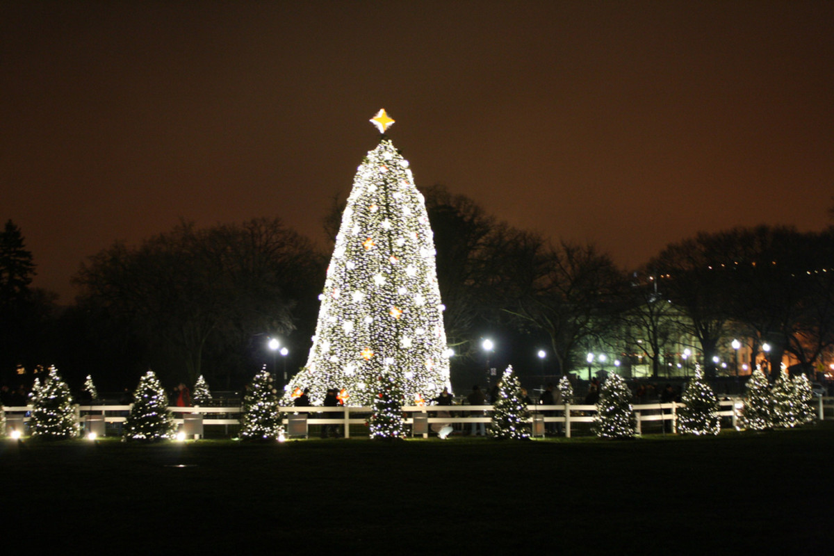 The National Christmas Tree at the White House - HubPages