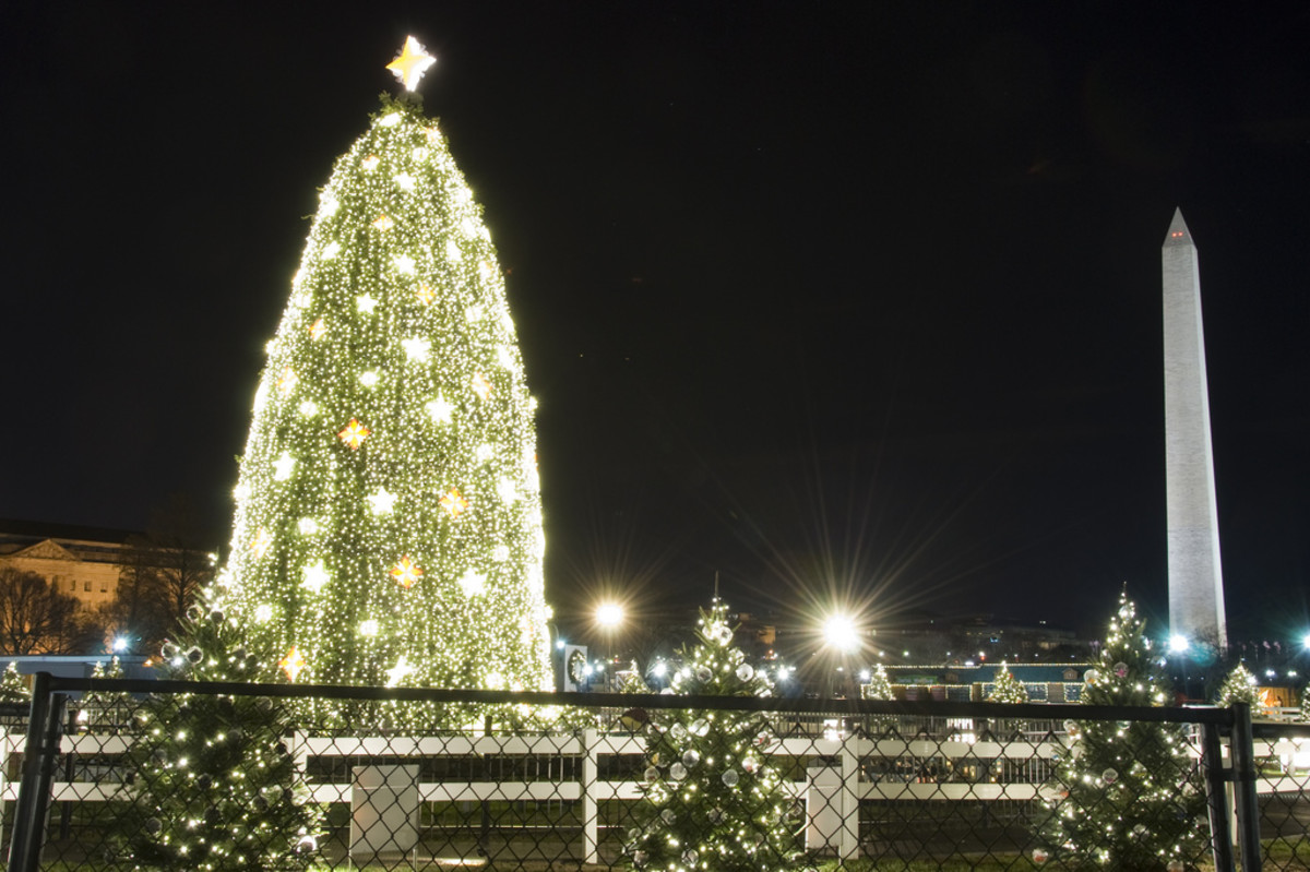 The National Christmas Tree at the White House - HubPages
