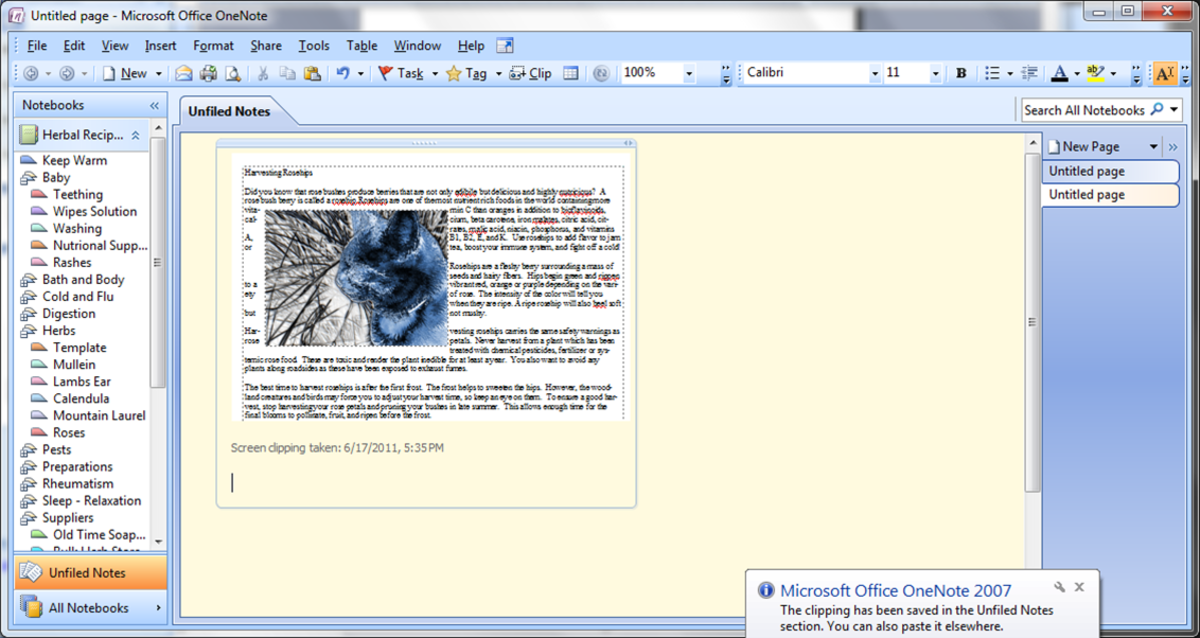 How To Wrap Text Around An Image In OneNote TurboFuture