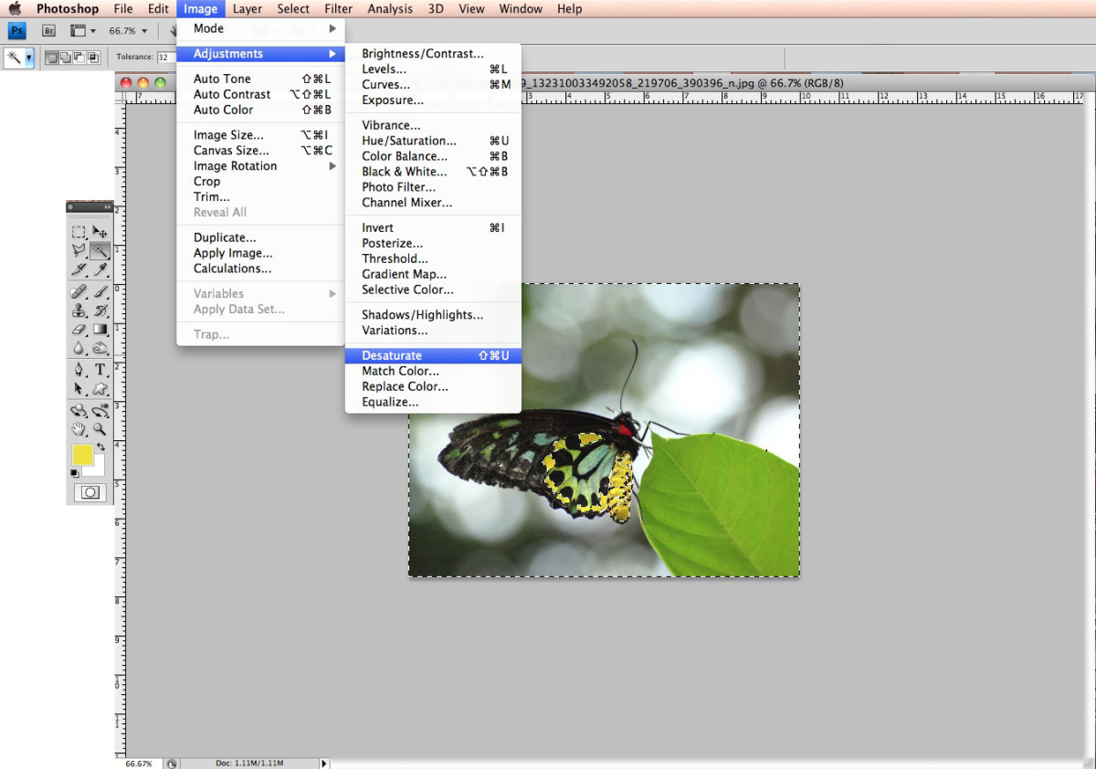 How to Pull Out Specific Colors in Photographs Using Adobe Photoshop ...