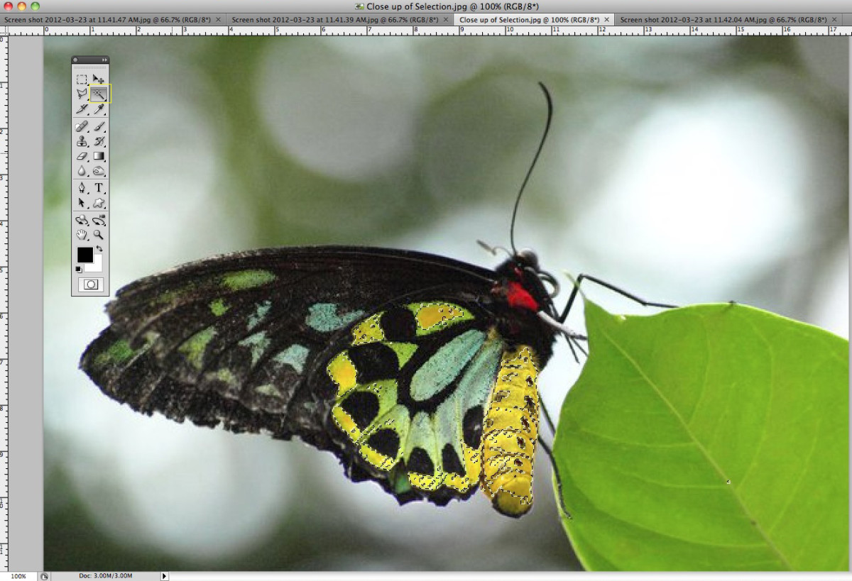 How to Pull Out Specific Colors in Photographs Using Adobe Photoshop ...