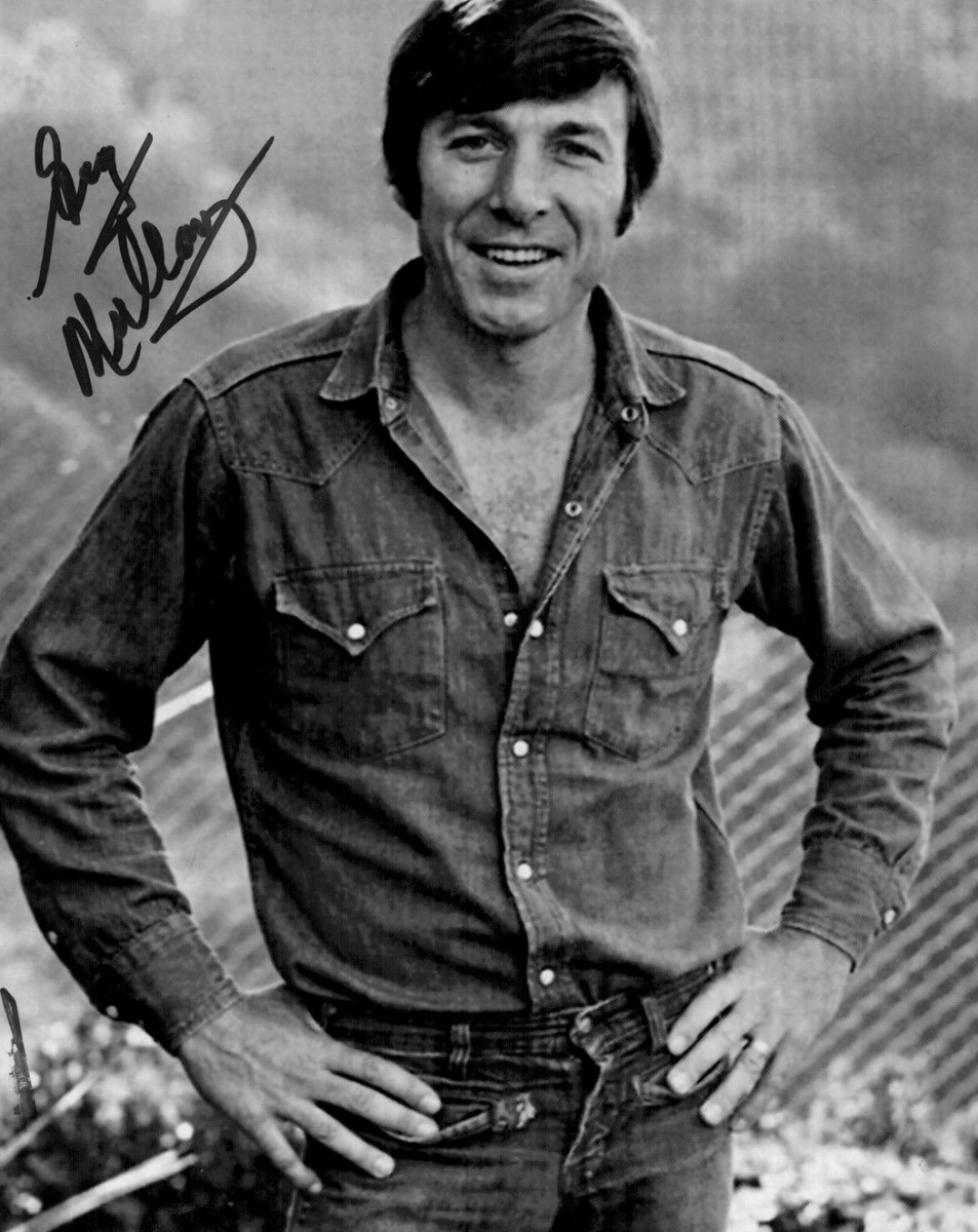 33 Popular And Handsome 1970s TV Actors ReelRundown