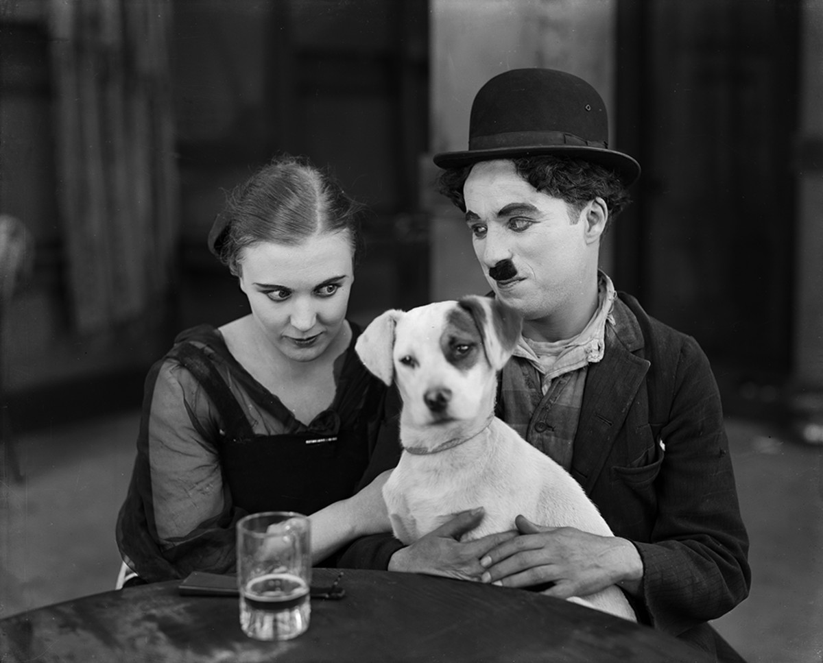 The First 10 Famous Dogs in Film - HubPages