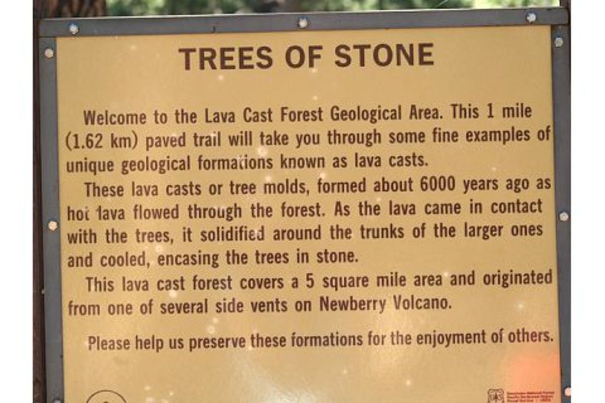 Lava Cast Forest & Other Sights in Central Oregon - WanderWisdom
