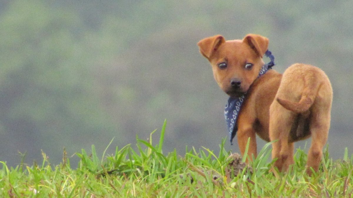 10 Things I Love About Living in Costa Rica - HubPages