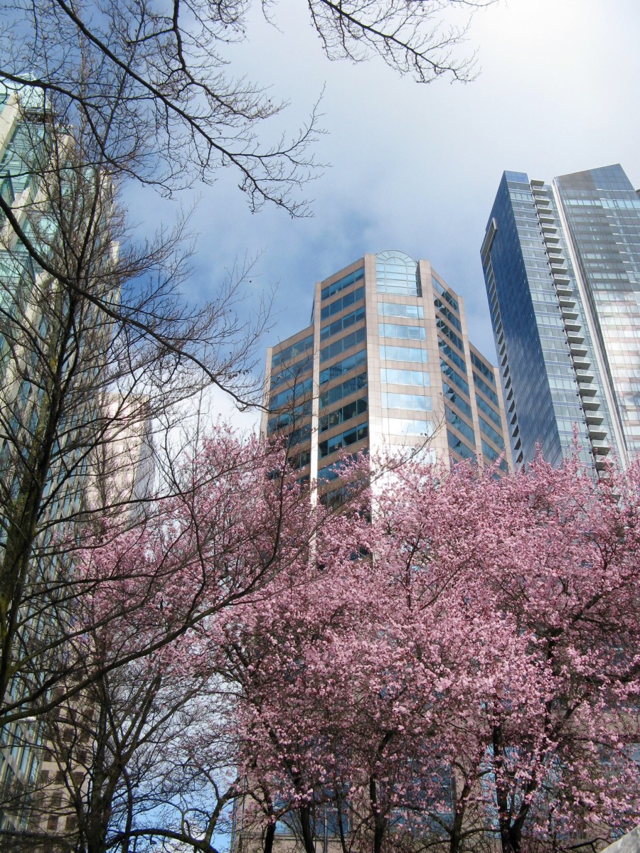 Vancouver in Spring: Beautiful Sights and Interesting Events - HubPages