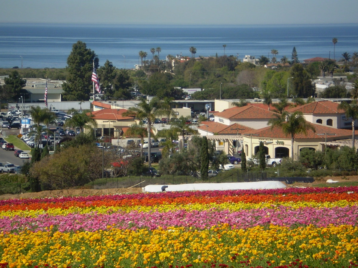Carlsbad, California: A Brief Recreation & Travel Guide - HubPages